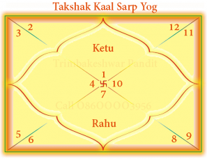 Takshak Kaal Sarp Dosh: Effects, Remedies, And Benefits